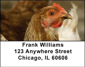 Chicken Address Labels - Stuff with Animals